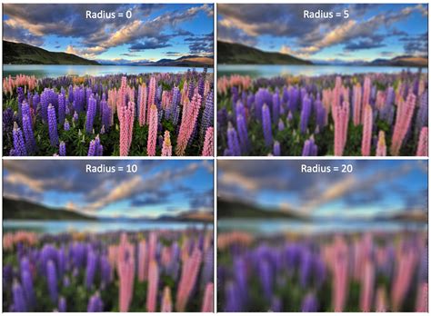 How To Blur An Image On Android Build An Image Blurring Algorithm By Elye Better