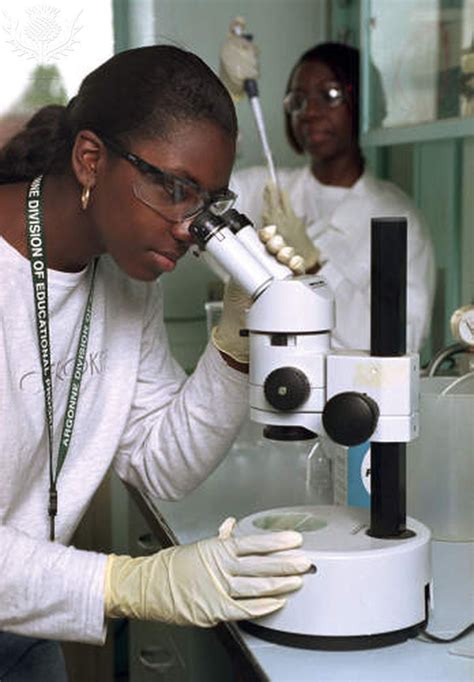 About The Program Life Science Lab Assistant Program Libguides At St Louis Community College