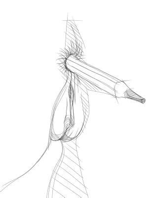 How To Draw Nudes OC