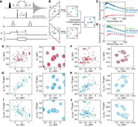 The Sofast Hzdqc Experiment A Pulse Sequence And Coherence Download Scientific Diagram