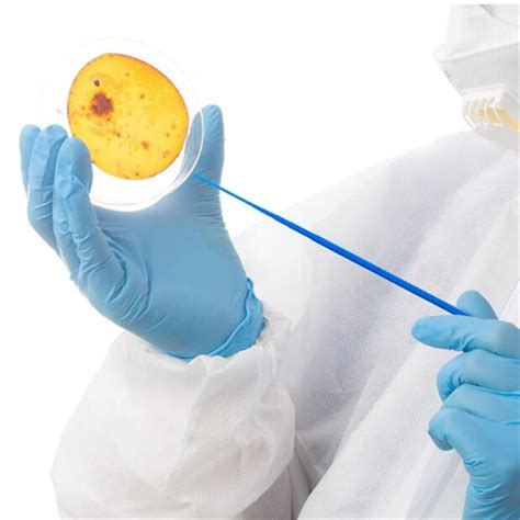 Laboratory Use Plastic Cell Spreader Microbiology Disposable Loops Plastic Bacteria Sterile
