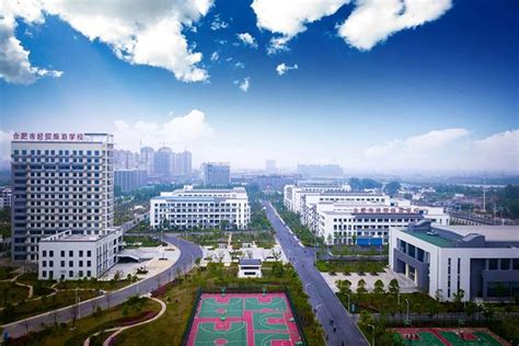合肥市经贸旅游学校 校企合作 产业分类 河南秦林教育科技集团有限公司