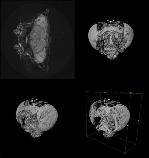 Research ‒ Gr Jaksic ‐ Epfl