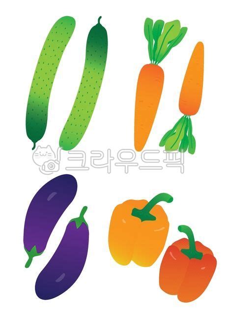 채소 야채 당근 가지 오이 사진 이미지 일러스트 캘리그라피 Pins작가