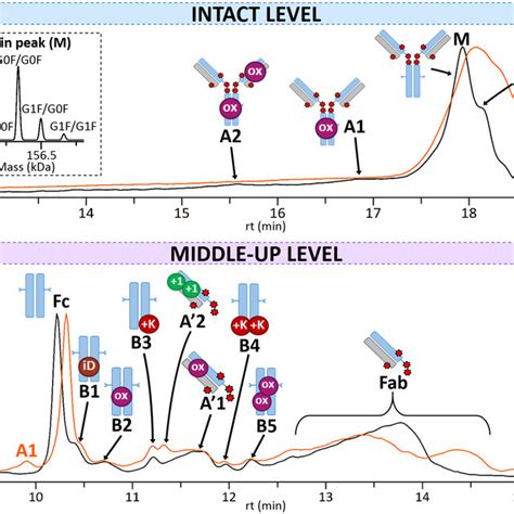 Hicxsec Nms Analysis Of T Dxd Hic Uv Chromatograms Of Reference Download Scientific Diagram
