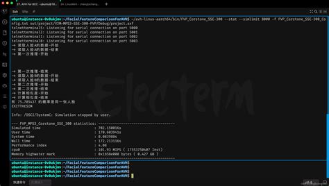 基于 arm 虚拟硬件实现人脸特征提取模型的部署 csdn博客