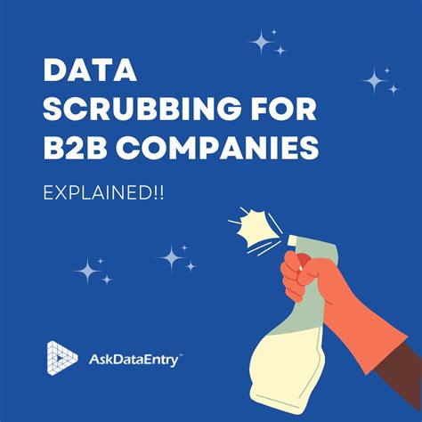 Data Scrubbing Askdataentry™