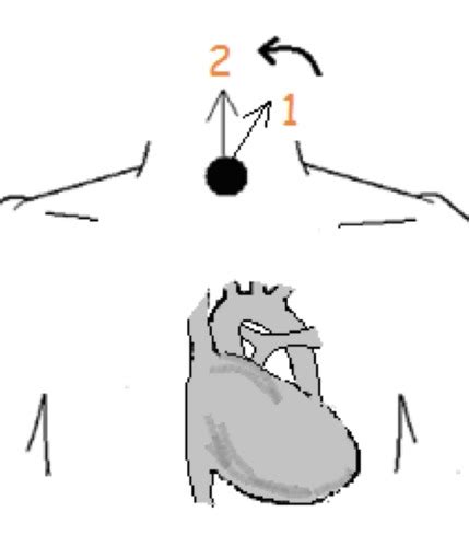 Echo Views Flashcards Quizlet Echo Views Flashcards Quizlet