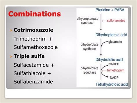 Sulphonamide Pdf