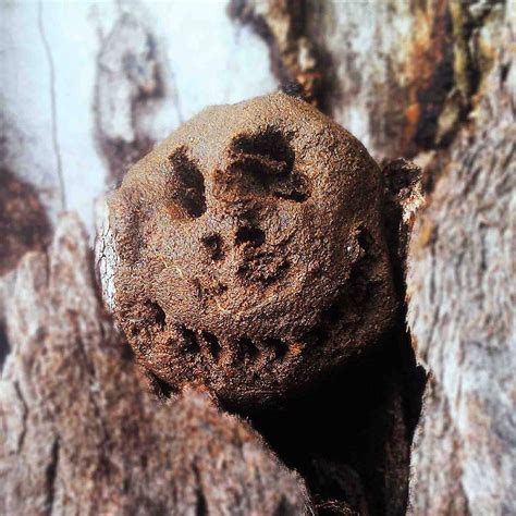 I Was Role Modelling Mobile Junk And Nature Playground Facebook