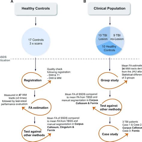 Overview Of The Validation Steps And The Results Presented In The Download Scientific Diagram