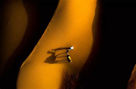 普通人如何利用趋势步步高升？ 搜狐大视野 搜狐新闻