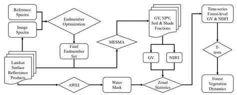 Flow Of Image Processing And Analysis Procedures Mesma Multiple Download Scientific Diagram