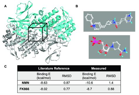 Validation Of Autodock Vina Screening Of Nci Diversity Set Iii A Download Scientific Diagram