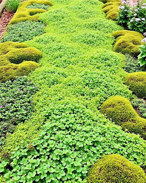 30 Long Garden Ideas To Maximize Narrow Spaces