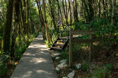 Фото Мацесты (34 фото)