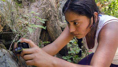 Building Local Capacity To Manage Community Conserved Areas In Oaxaca Mexico Global Diversity