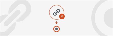 13 Best Free Wordpress Smooth Scroll Plugins 2024 Wpshopmart