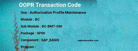 OOPR SAP Tcode For Authorization Profile Maintenance