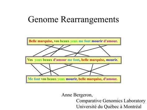 Ppt Genome Rearrangements Powerpoint Presentation Free Download Id9347437