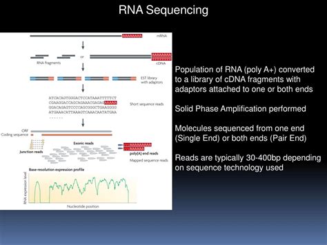 PPT RNA Seq A Soon To Be Outdated Tutorial PowerPoint Presentation ID