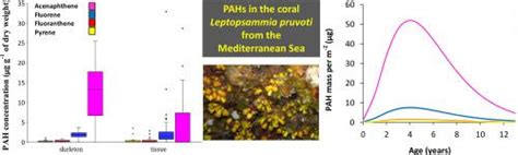 非虫黄藻类巩膜珊瑚中特殊的多环芳烃积累模式marine Pollution Bulletin X Mol