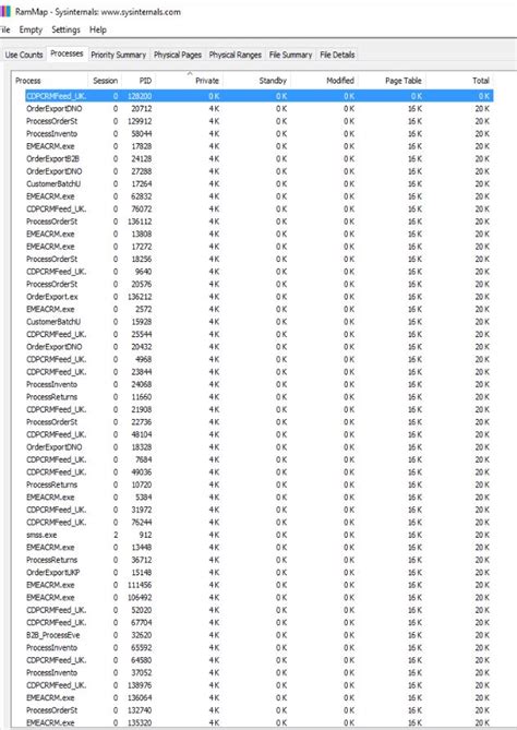 C All Of My Net Console Application Process Showing Up In Rammap On The Server With 4k