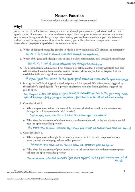 Neuron Function Pogil Bio 201 Stuvia Us