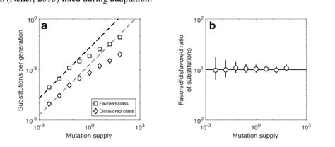 Fig B11 Simulation Of The Infinite Sites Model Two Classes Of Download Scientific Diagram