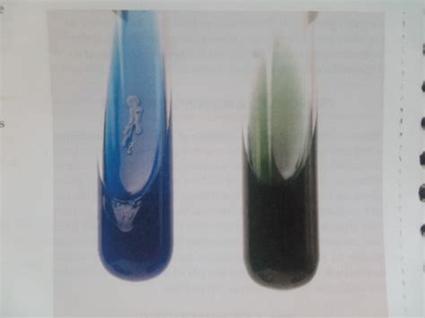 Citrate Utilization Test Flashcards Quizlet