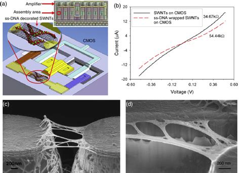 A The Optical Photograph Of The CMOS Chip And A Schematic Drawing Of Download Scientific