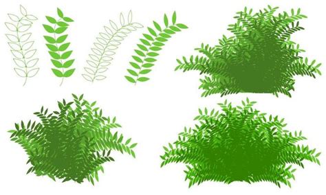 Bush Vector Art Icons And Graphics For Free Download