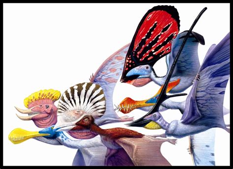 A Mesozoic Field Guide The Pterosaurs
