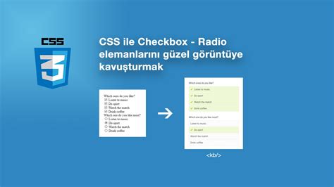 Css Ile Checkbox Radio Elemanlarını Güzel Görüntüye Kavuşturmak