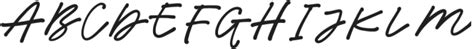 Hello Sister Script Otf 400 Font What Font Is