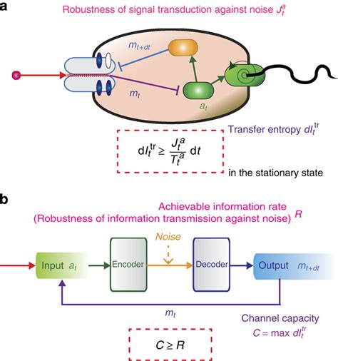 analogy and difference between our approach and shannon s information download scientific
