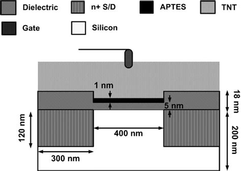 architecture of the proposed isfet not to scale download scientific
