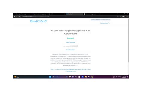 Nihss Pdf