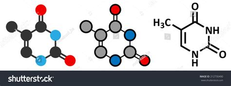 Thymine Dimer Over 17 Royalty Free Licensable Stock Vectors And Vector