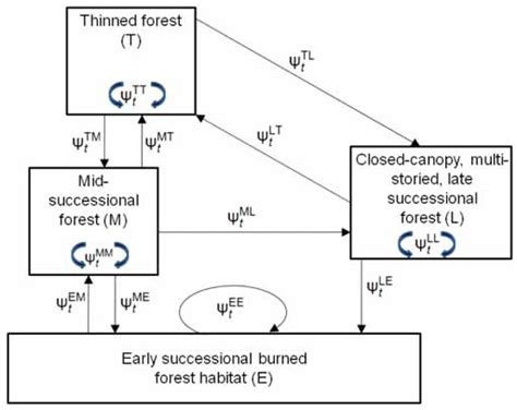 State Boxes And Transition Arrows Model For Dry Pacific Northwest Download Scientific