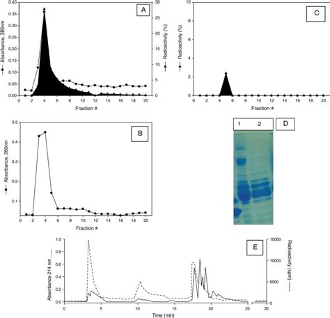 Chromatographic Purification And Characterization Of Radiolabeled 99mtc Download Scientific