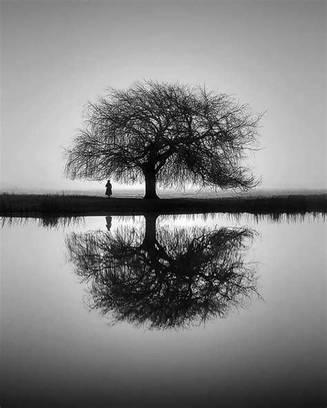 Artistic Black And White Fine Art Photography By Kyuwon Lim