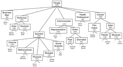 The Taxonomy Of The People Ontology Extracted From Wordnet 171 Download Scientific Diagram