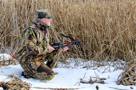 Самый дешевый охотничий арбалет Интерлопер Скорпион (Jaguar ...