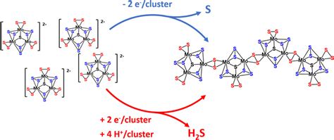 Insights Into The Electrochemical Polymerization Of Mo S Generating Amorphous Molybdenum