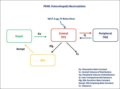 Pk40 Multi Compartment Model With Enterohepatic Recirculation After Iv Administration
