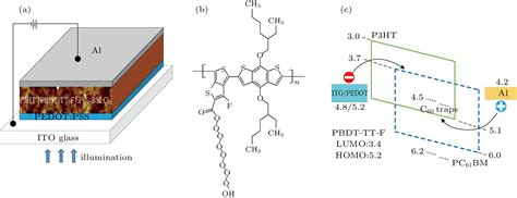 Realizing Photomultiplication Type Organic Photodetectors Based On C 60 Doped Bulk
