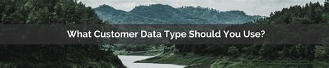 What Customer Data Type Should You Use