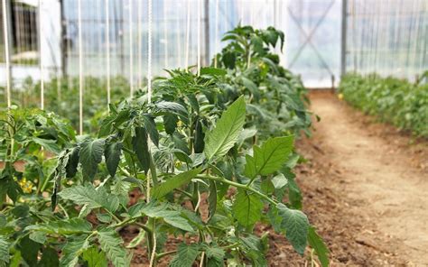 Kategorie Exteriér Magazín Doma