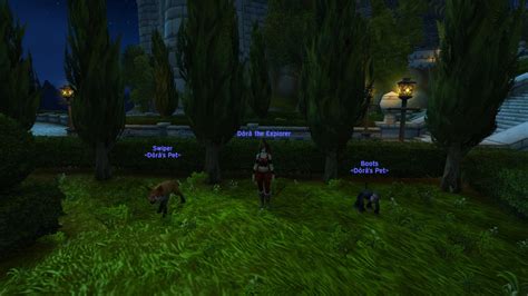 Dora The Explorer R Wow